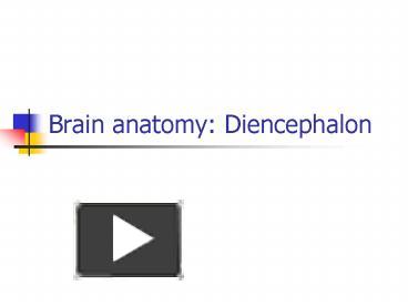 Brain anatomy: Diencephalon presentation | free to view