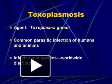 PPT – Toxoplasmosis PowerPoint presentation | free to view - id: 107167-ZDc1Z