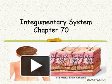 PPT – Integumentary System Chapter 70 PowerPoint presentation | free to ...