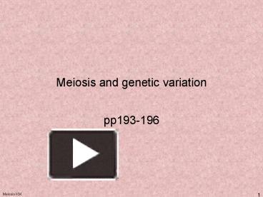 PPT – Meiosis and genetic variation PowerPoint presentation | free to ...
