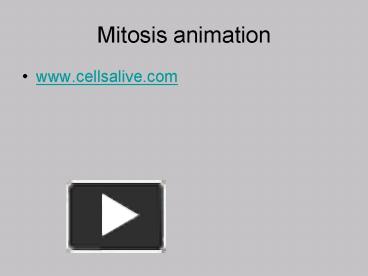 PPT – Mitosis animation PowerPoint presentation | free to view - id ...