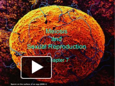 PPT – Meiosis and Sexual Reproduction PowerPoint presentation | free to ...