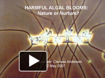 HARMFUL ALGAL BLOOMS: presentation | free to view