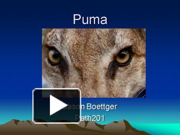 Puma presentation | free to view