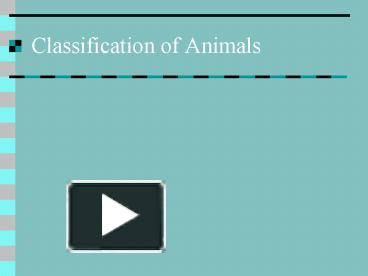 PPT – Classification of Animals PowerPoint presentation | free to view ...