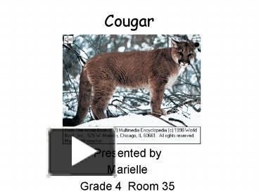 Cougar presentation | free to view