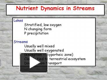 Nutrient Dynamics in Streams presentation | free to view