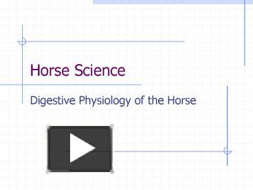 PPT – Horse Science PowerPoint presentation | free to view - id: 10f872 ...
