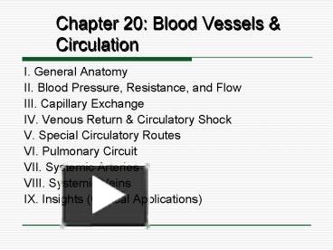 PPT – Chapter 20: Blood Vessels PowerPoint presentation | free to view ...