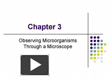 Observing Microorganisms Through a Microscope presentation | free to view