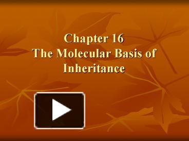 Chapter 16 The Molecular Basis of Inheritance presentation | free to view