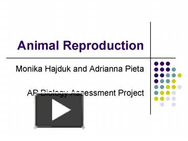 Animal Reproduction presentation | free to view