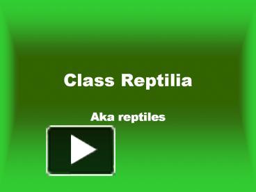 PPT – Class Reptilia PowerPoint presentation | free to view - id ...