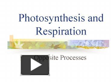 Photosynthesis and Respiration presentation | free to view