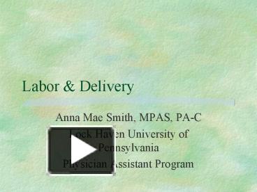 PPT – Labor PowerPoint presentation | free to view - id: 11584d-OWI3M