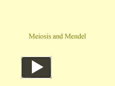 PPT – Meiosis and Mendel PowerPoint presentation | free to view - id ...