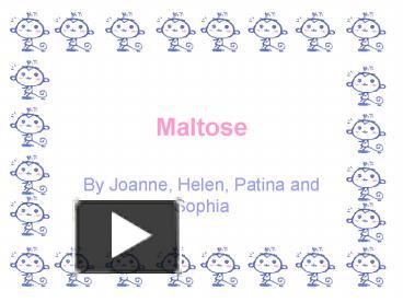 Maltose presentation | free to view