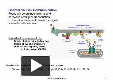 PPT – Chapter 16 Cell Communication PowerPoint presentation | free to ...