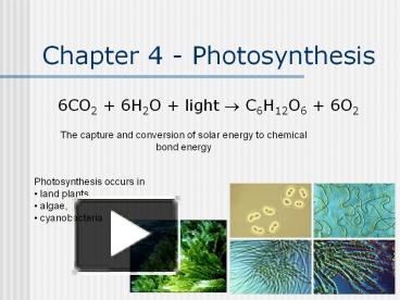 Chapter 4 - Photosynthesis presentation | free to view