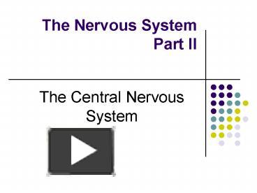 The Nervous System Part II presentation | free to view