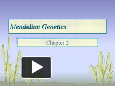 PPT – Mendelian Genetics PowerPoint presentation | free to view - id ...