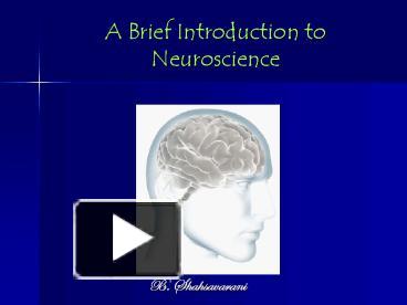 A Brief Introduction to Neuroscience presentation | free to view