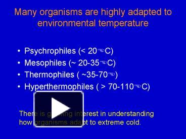 PPT – Many organisms are highly adapted to environmental temperature PowerPoint presentation ...