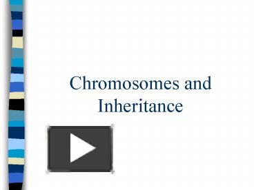 PPT – Chromosomes and Inheritance PowerPoint presentation | free to ...