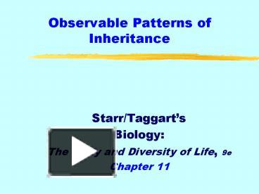 Observable Patterns of Inheritance presentation | free to view