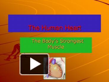 PPT – The Human Heart PowerPoint presentation | free to view - id ...