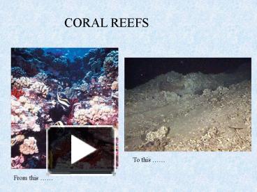 PPT – CORAL REEFS PowerPoint presentation | free to view - id: 11a025-ZjBhO