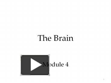 The Brain Module 4 presentation | free to view