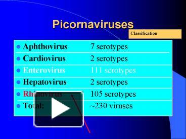 PPT – Picornaviruses PowerPoint presentation | free to view - id: 11c5ea-YjFlM
