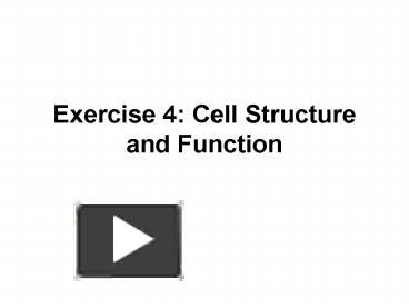 PPT – Exercise 4: Cell Structure and Function PowerPoint presentation | free to view - id ...