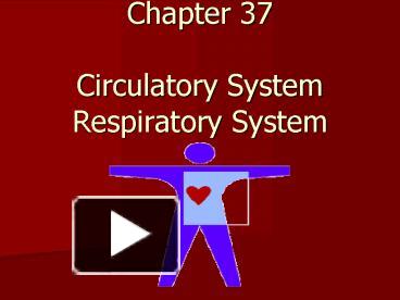 PPT – Chapter 37 Circulatory System Respiratory System PowerPoint ...