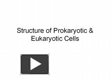PPT – Structure of Prokaryotic PowerPoint presentation | free to view ...