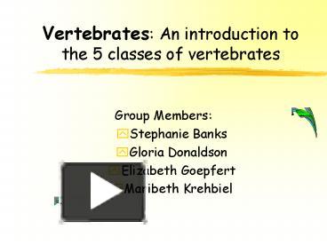 Vertebrates: An introduction to the 5 classes of vertebrates ...