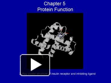 PPT – Chapter 5 Protein Function PowerPoint presentation | free to view - id: 11fbb8-MDExM