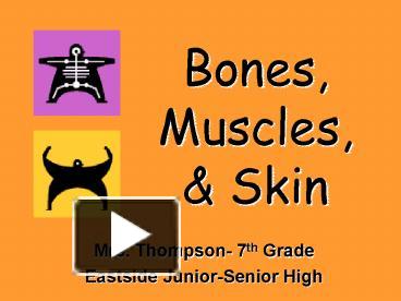 Bones, Muscles, presentation | free to view