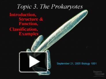 PPT – Topic 3. The Prokaryotes PowerPoint presentation | free to view ...