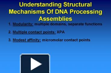 PPT – Understanding Structural Mechanisms Of DNA Processing Assemblies PowerPoint presentation ...