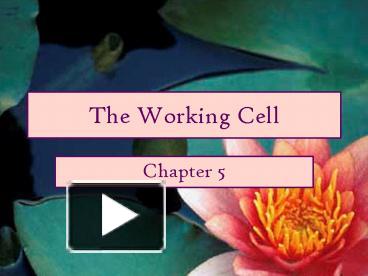 The Working Cell presentation | free to view
