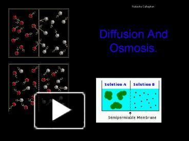 Diffusion And Osmosis. presentation | free to view