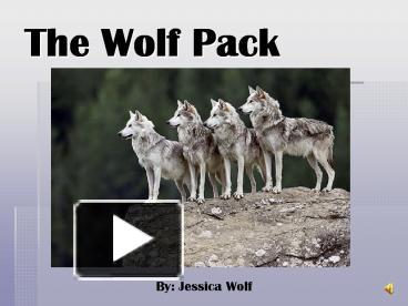 PPT – The Wolf Pack PowerPoint presentation | free to view - id: 12471 ...