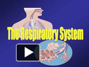 The Respiratory System presentation | free to view