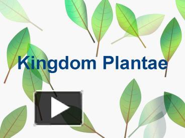 PPT – Kingdom Plantae PowerPoint presentation | free to view - id ...