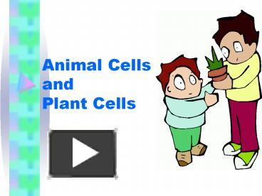 Animal Cells and Plant Cells presentation | free to view