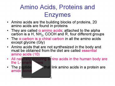 PPT – Amino Acids, Proteins and Enzymes PowerPoint presentation | free ...