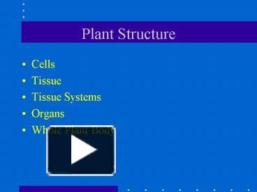 PPT – Plant Structure PowerPoint presentation | free to view - id ...