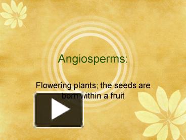 Angiosperms: presentation | free to view